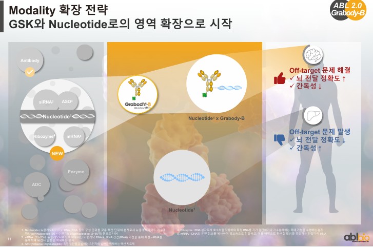 GSK에 4조 기술이전한 ABL바이오, 항체 넘어 siRNA까지 어떻게 가능했나